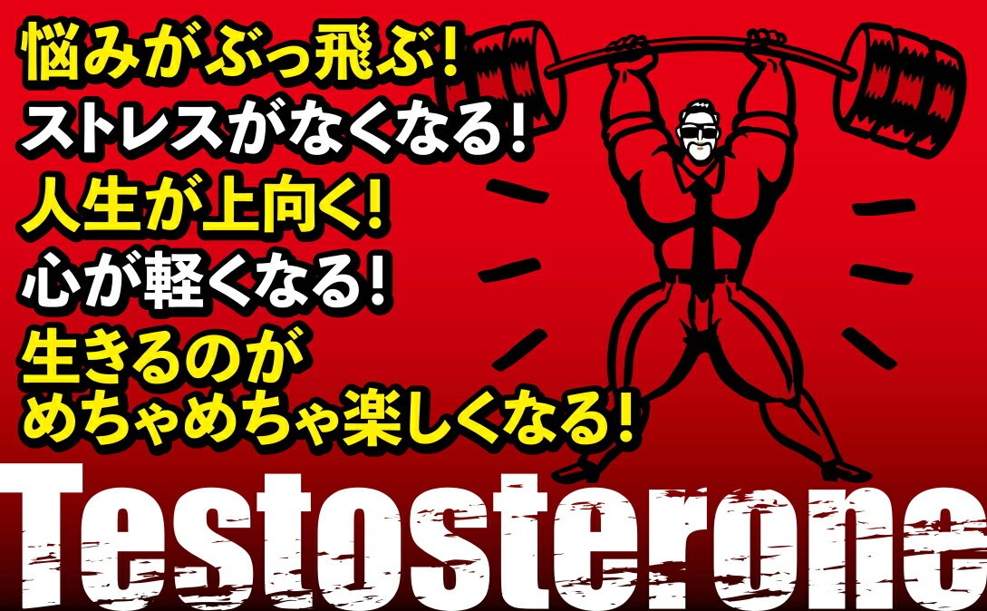 楽天ブックス 365日、絶好調で超ハッピーになれる言葉 Testosterone 9784594097332 本